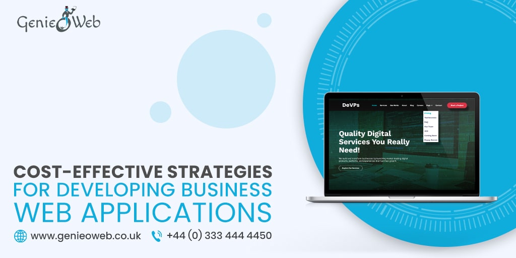 2024 Business Web Applications | Development | Genieoweb