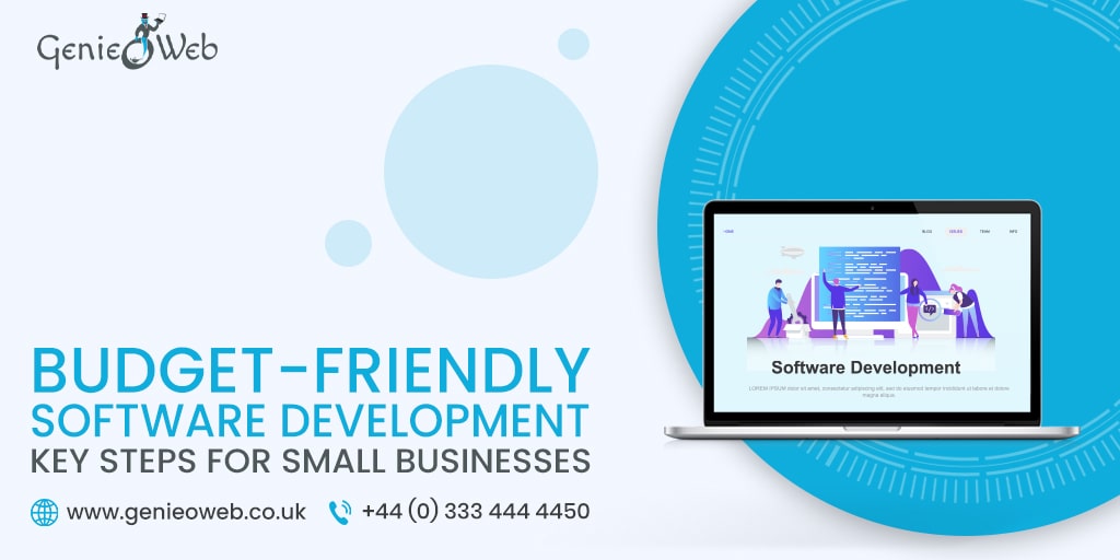 Budget-Friendly Software Development | Businesses | GenieoWeb